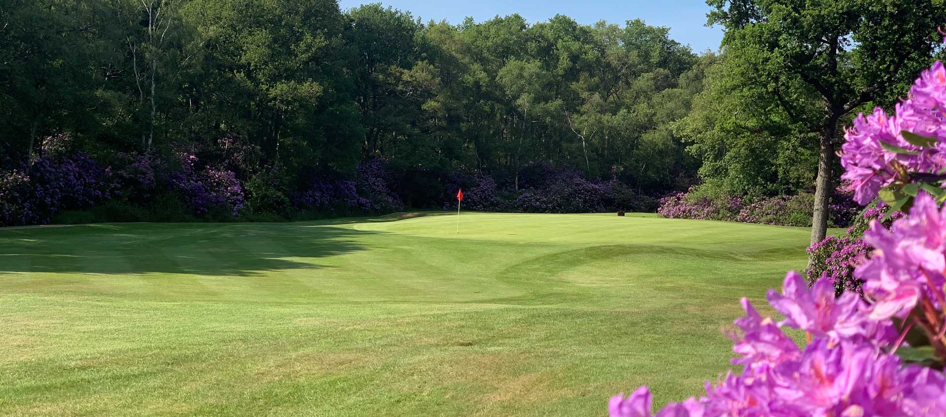 Golf, Weddings, Events, Business at The Drift Golf Club | Surrey