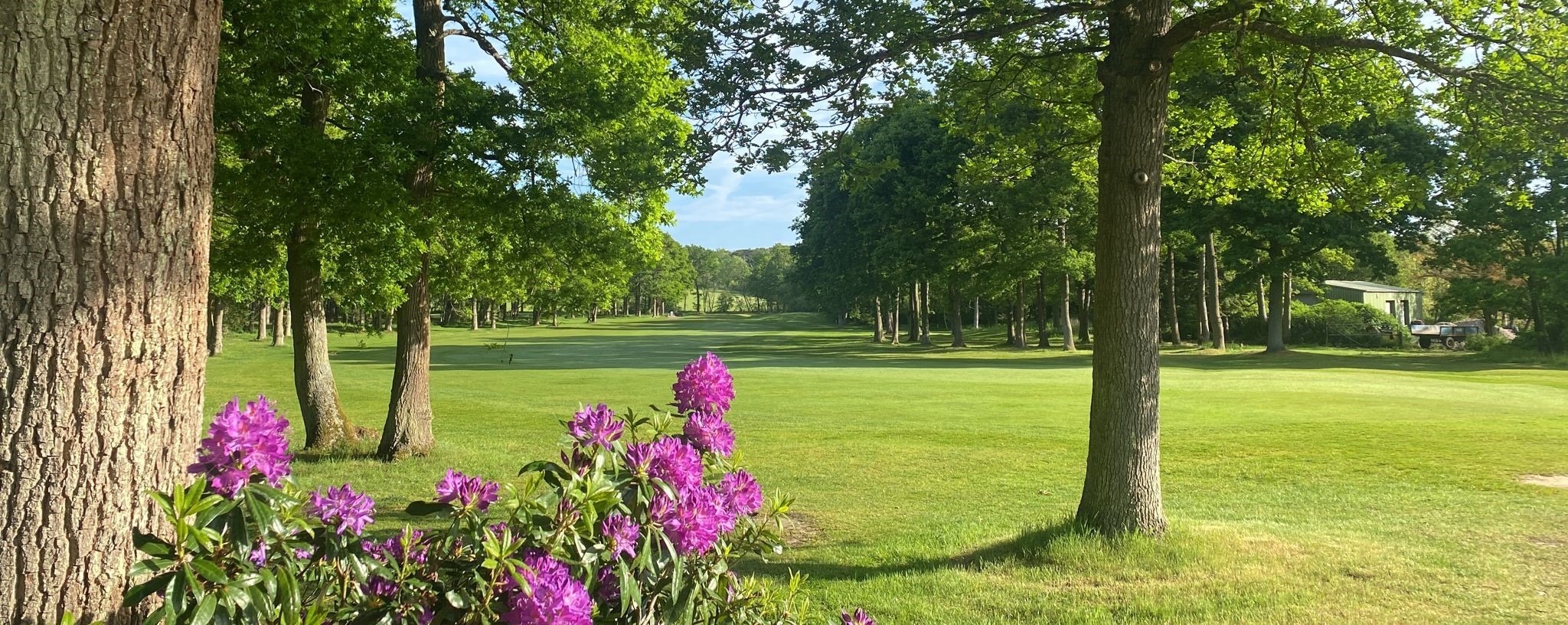 Golf Membership at The Drift Golf Club | Leatherhead, Surrey